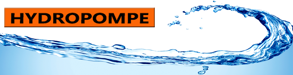 HYDROPOMPE Elettropompa sommersa per drenaggio PX corrente continua 12V ...